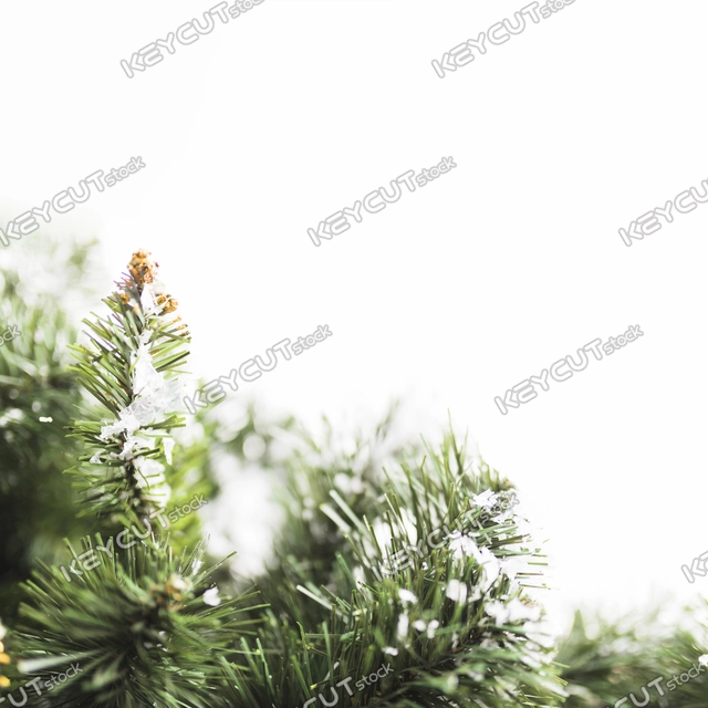 축하합니다, 장식, 공, 12월, 여름-1276198704-키컷스톡