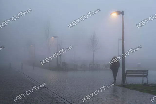 조용한, 풍경, 흐린, 실루엣, 가로등 기둥-1136690502-키컷스톡